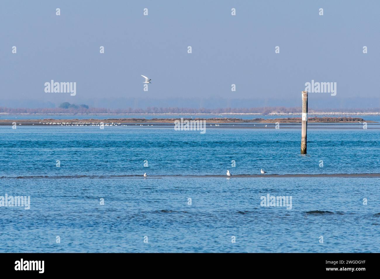 Grado, Italy - January 28th, 2024: panorama of the lagoon on a sunny ...
