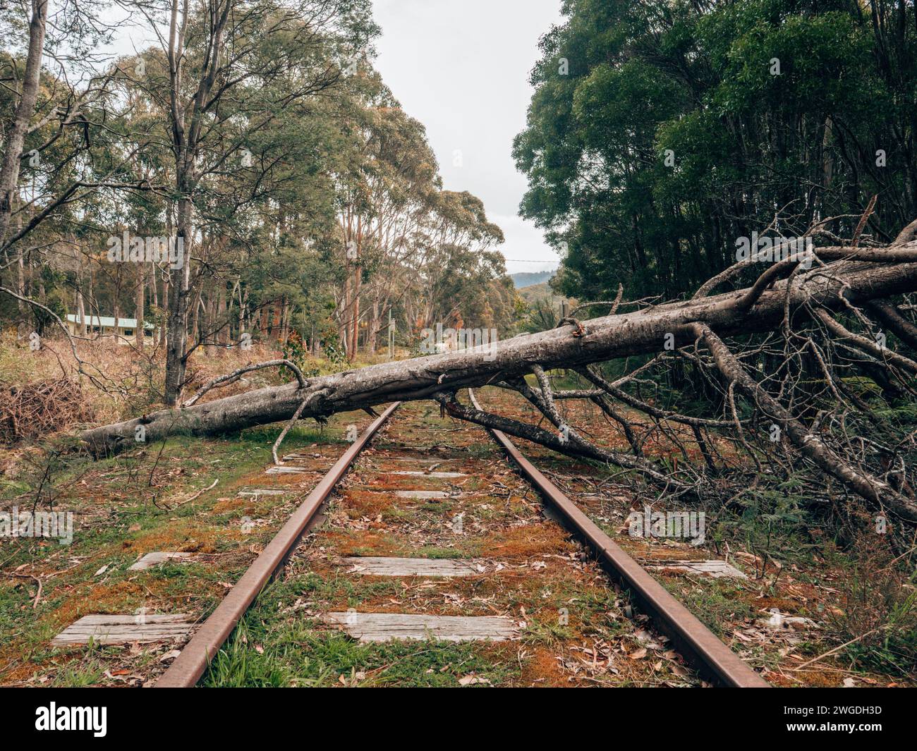 Port rail line hi-res stock photography and images - Alamy