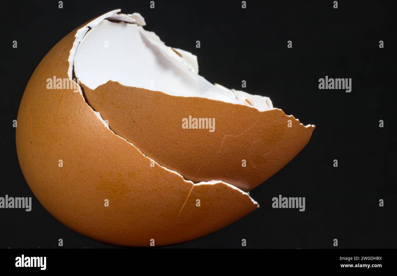 Shell fracture hi-res stock photography and images - Alamy