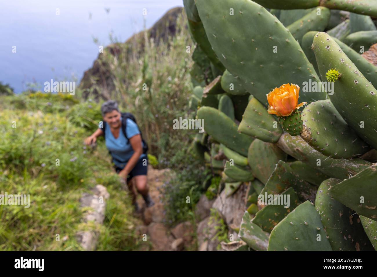 Südwestküste pfad hi-res stock photography and images - Alamy