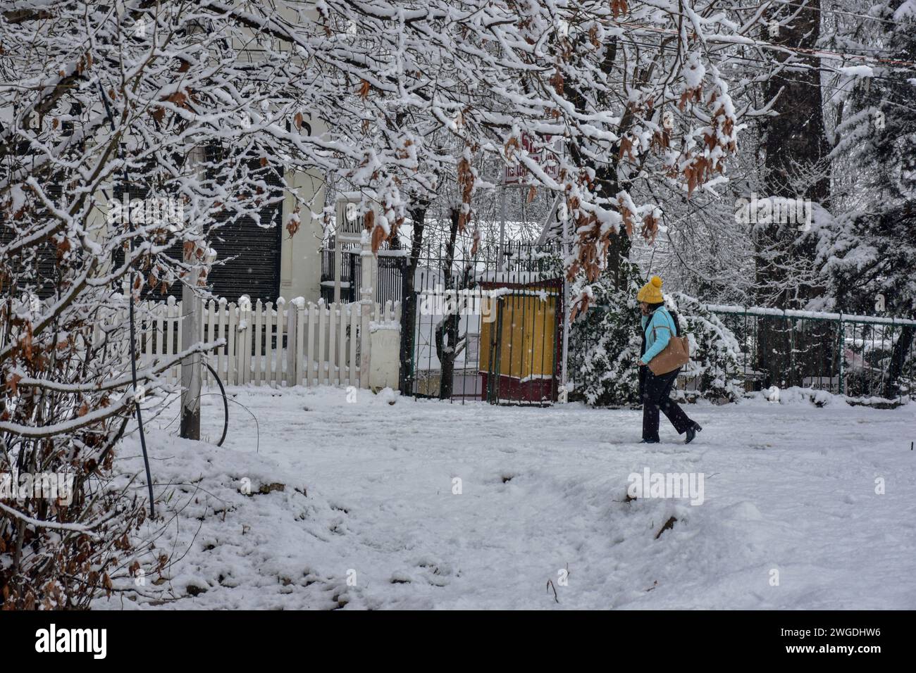 Srinagar, India. 4th Feb, 2024. A woman walks along the snow covered ...