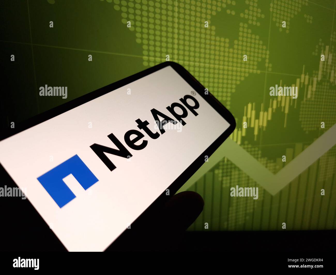 Konskie, Poland - January 31, 2024: NetApp company logo displayed on ...