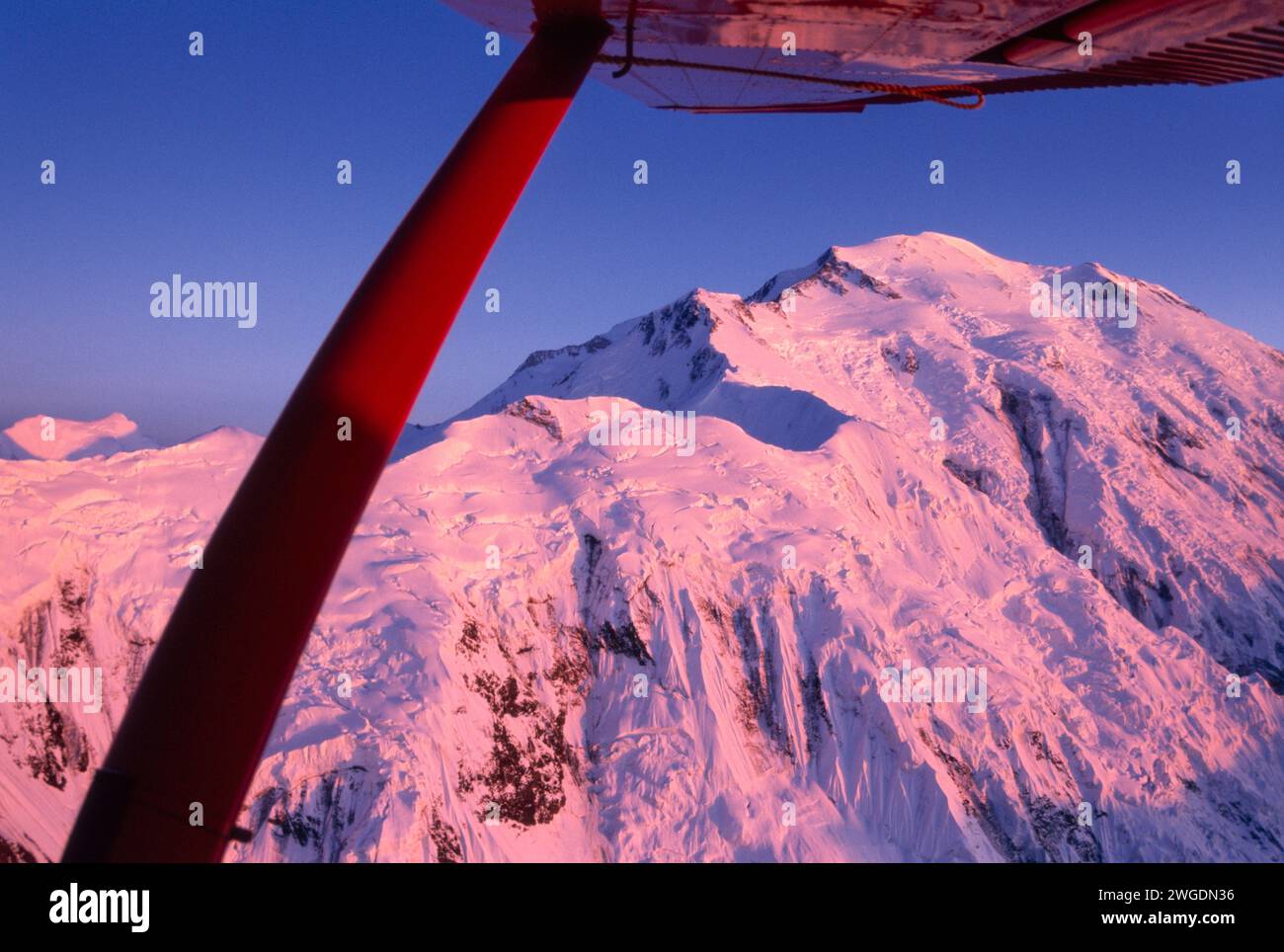 Alpenglow on Mt. McKinley (Denali), Denali National Park, Alaska Stock ...