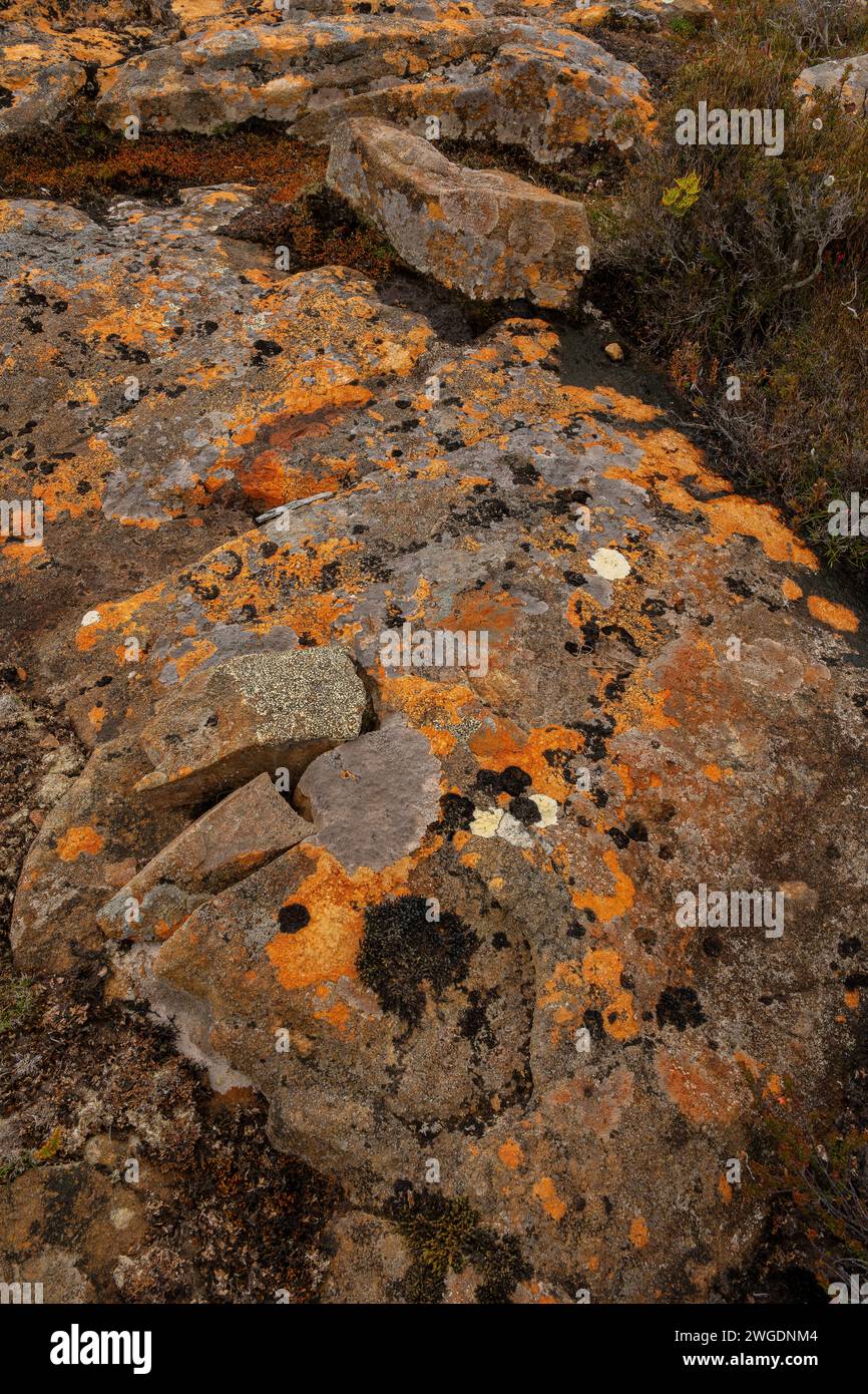 Dolerite and australia hi-res stock photography and images - Alamy