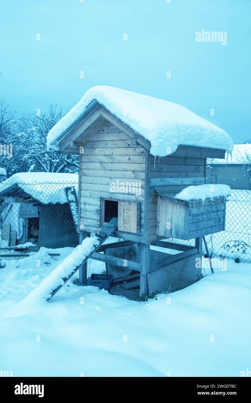 Hen house in the garden.Winter season Stock Photo - Alamy
