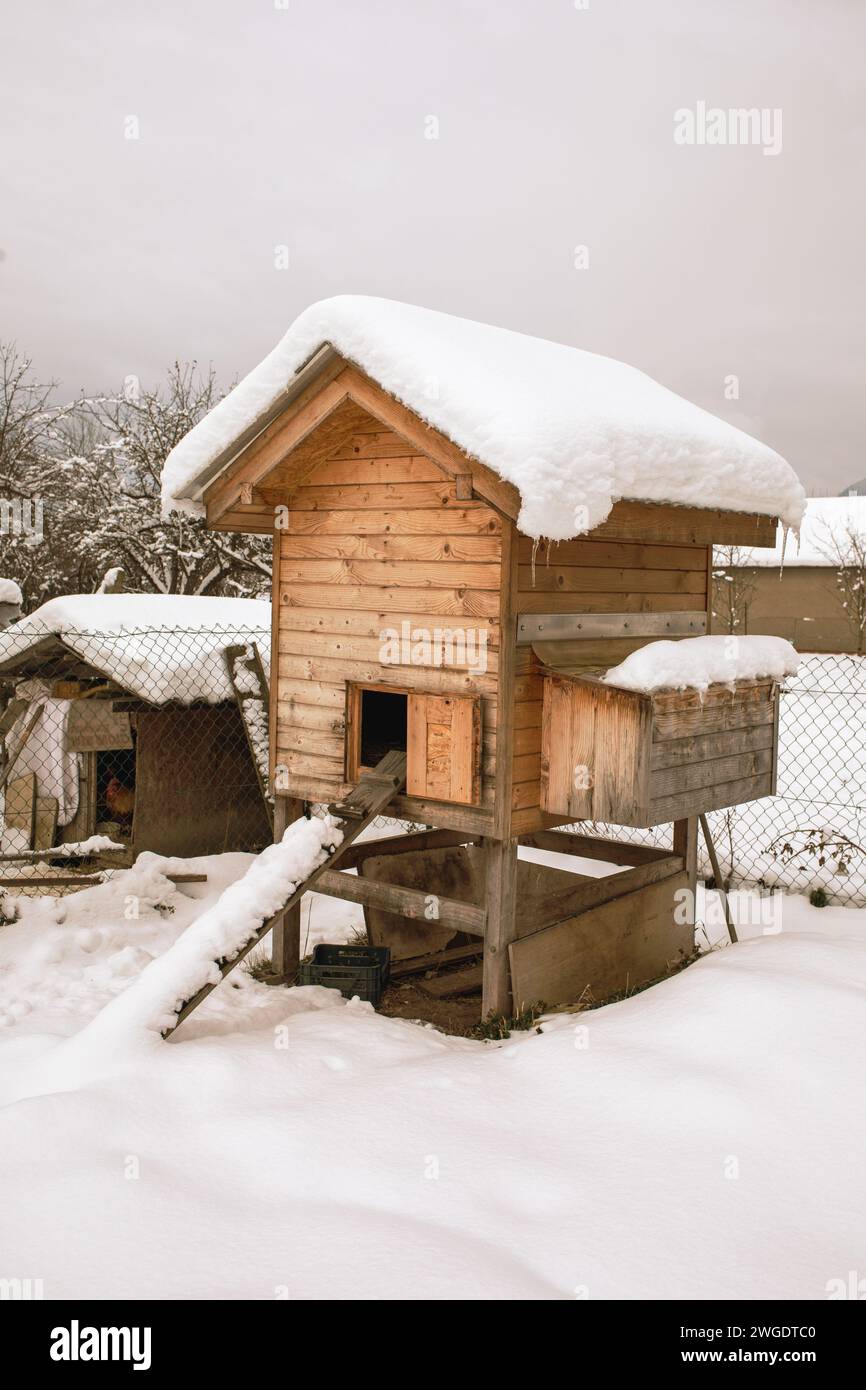 Hen house in the garden.Winter season Stock Photo - Alamy