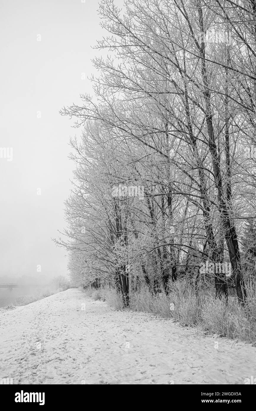 Landscape during freezing january temperatures Stock Photo - Alamy