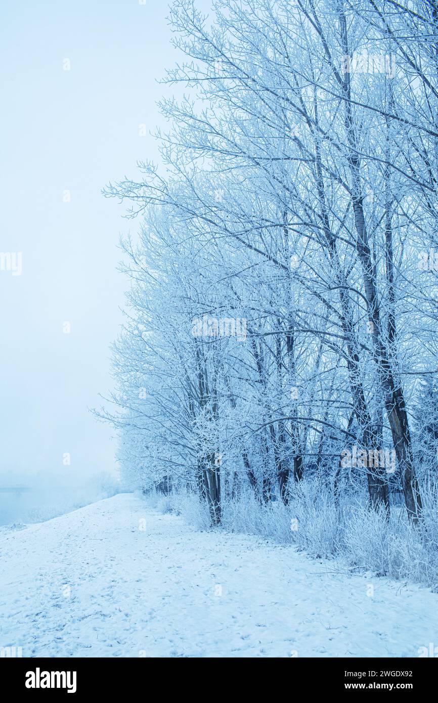 Landscape during freezing january temperatures Stock Photo - Alamy
