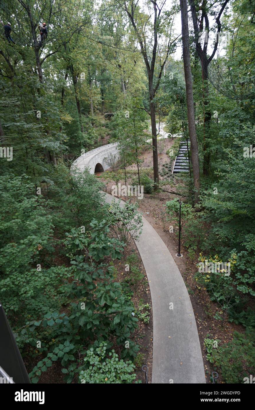 Serene Pathway Through a Lush Green Forest With an Arching Stone Bridge ...