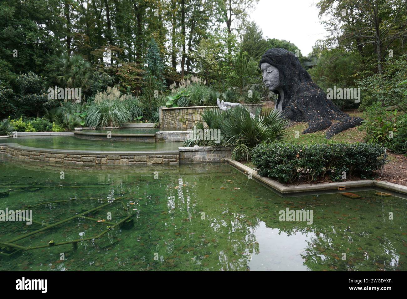 Enigmatic Stone Face Sculpture Emerging From a Serene Pond in a Lush ...