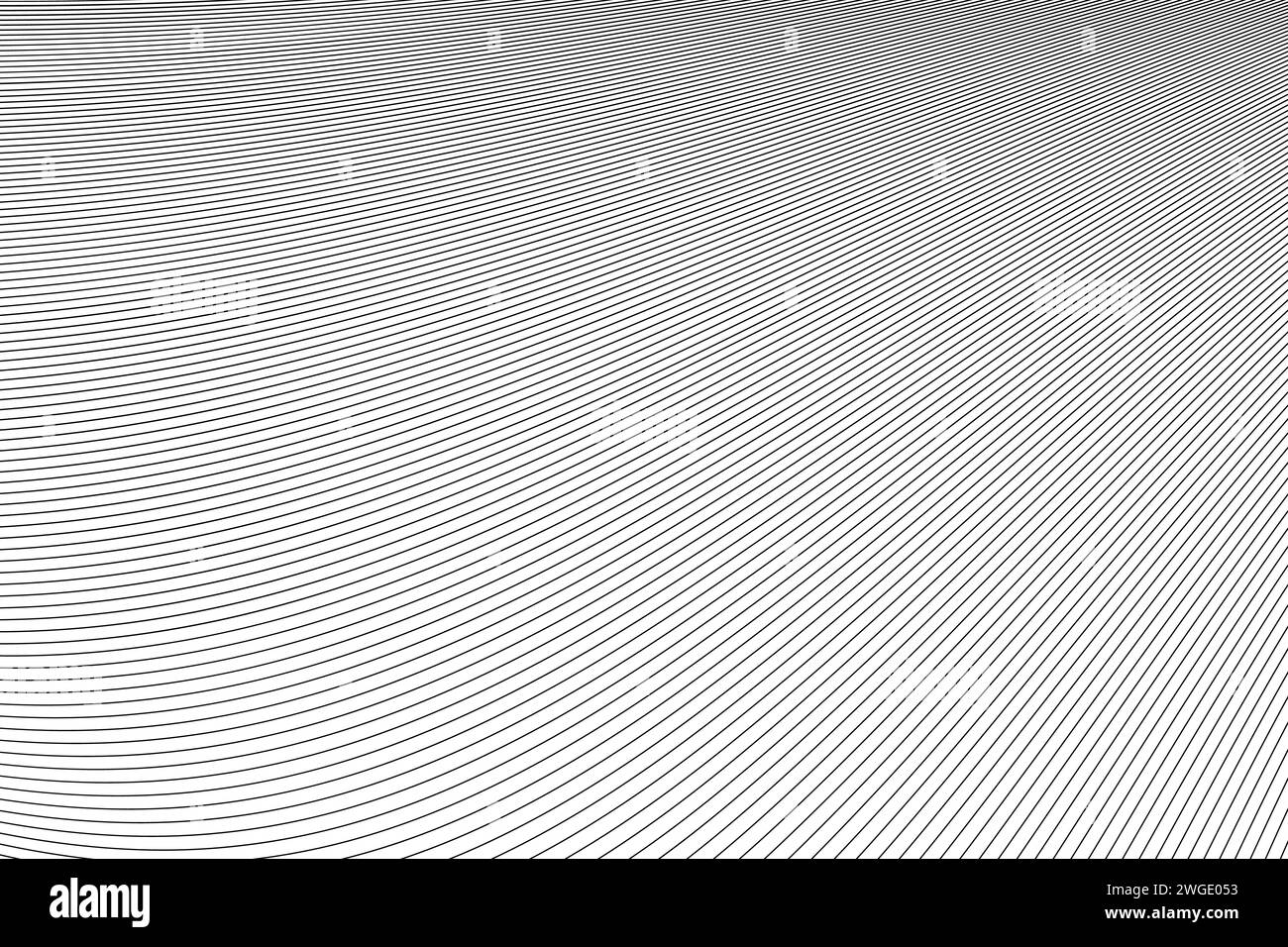 vector Illustration of the pattern of black lines on white background ...