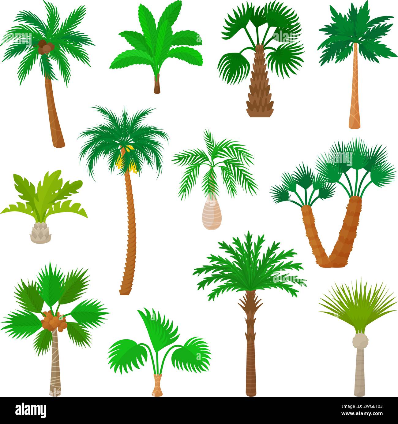Cartoon palm trees. Isolated palms, beach or tropical forest elements ...