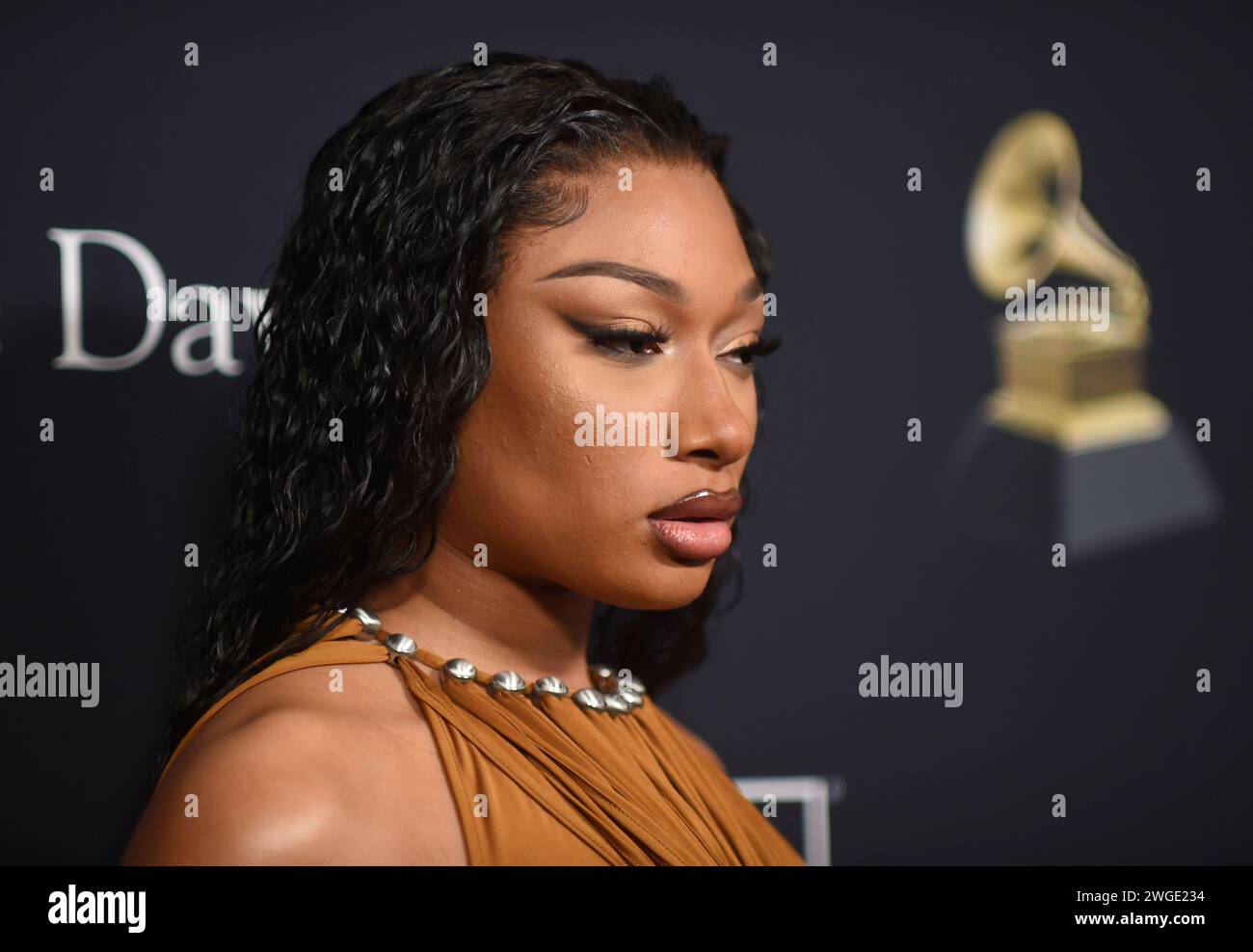 Megan Thee Stallion arrives at the Pre-Grammy Gala on Saturday, Feb. 3 ...