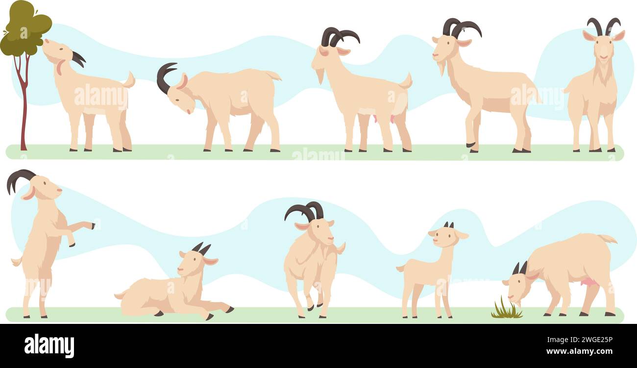 Goats. Farm animals with wool and horns exact vector illustrations of ...