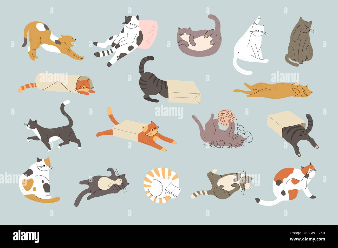 Cute cats. Domestic animal behavior funny cats and kitten playing ...