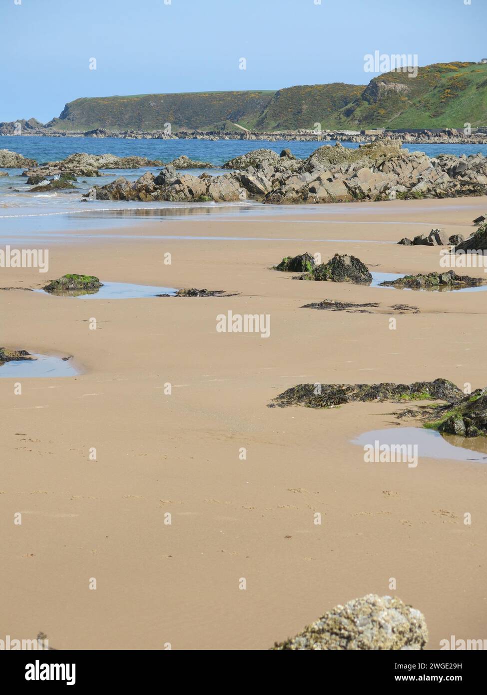 Family holidays on Scotland's NE coast: wide expanses of clean, sandy ...