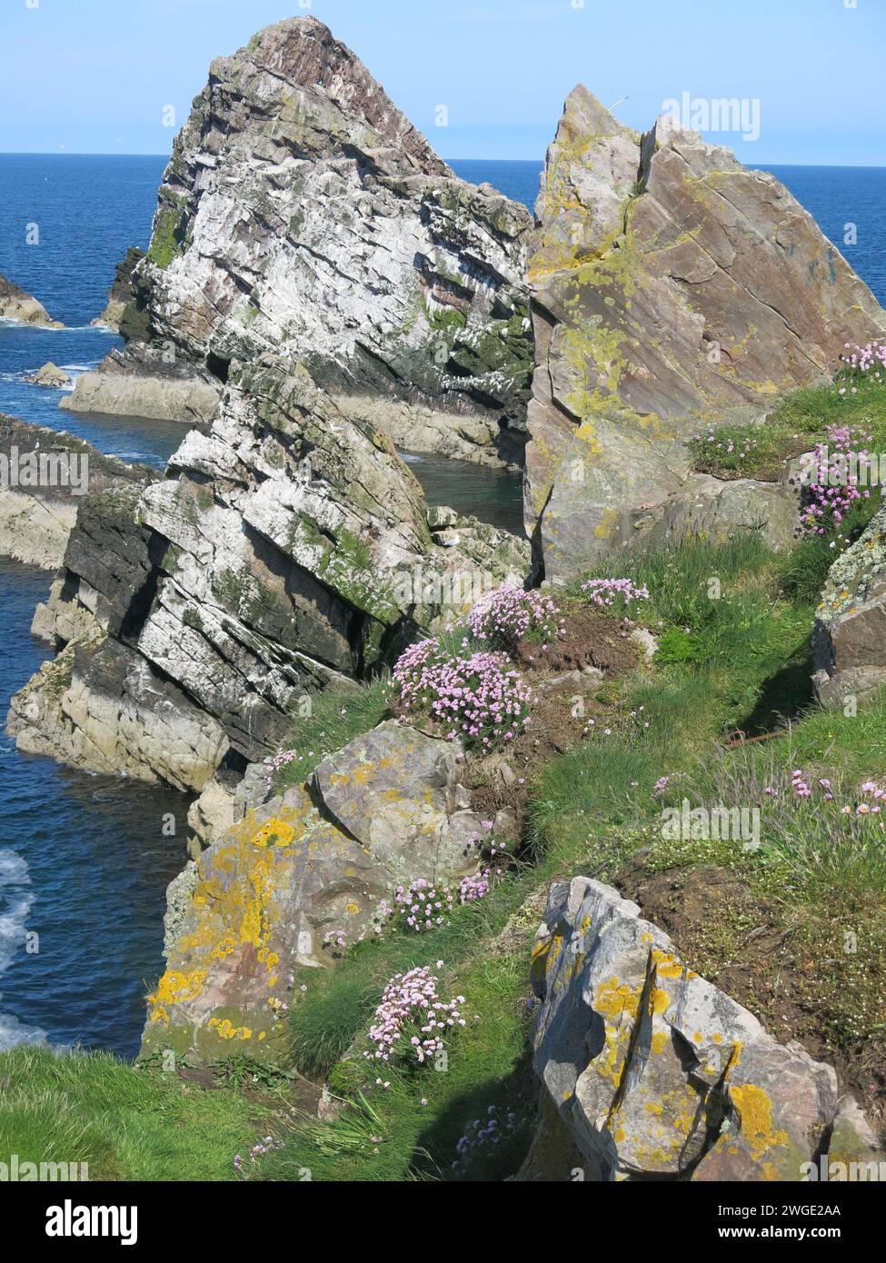 Dramatic rock formations like Bow Fiddle Rock off the Moray coast near ...