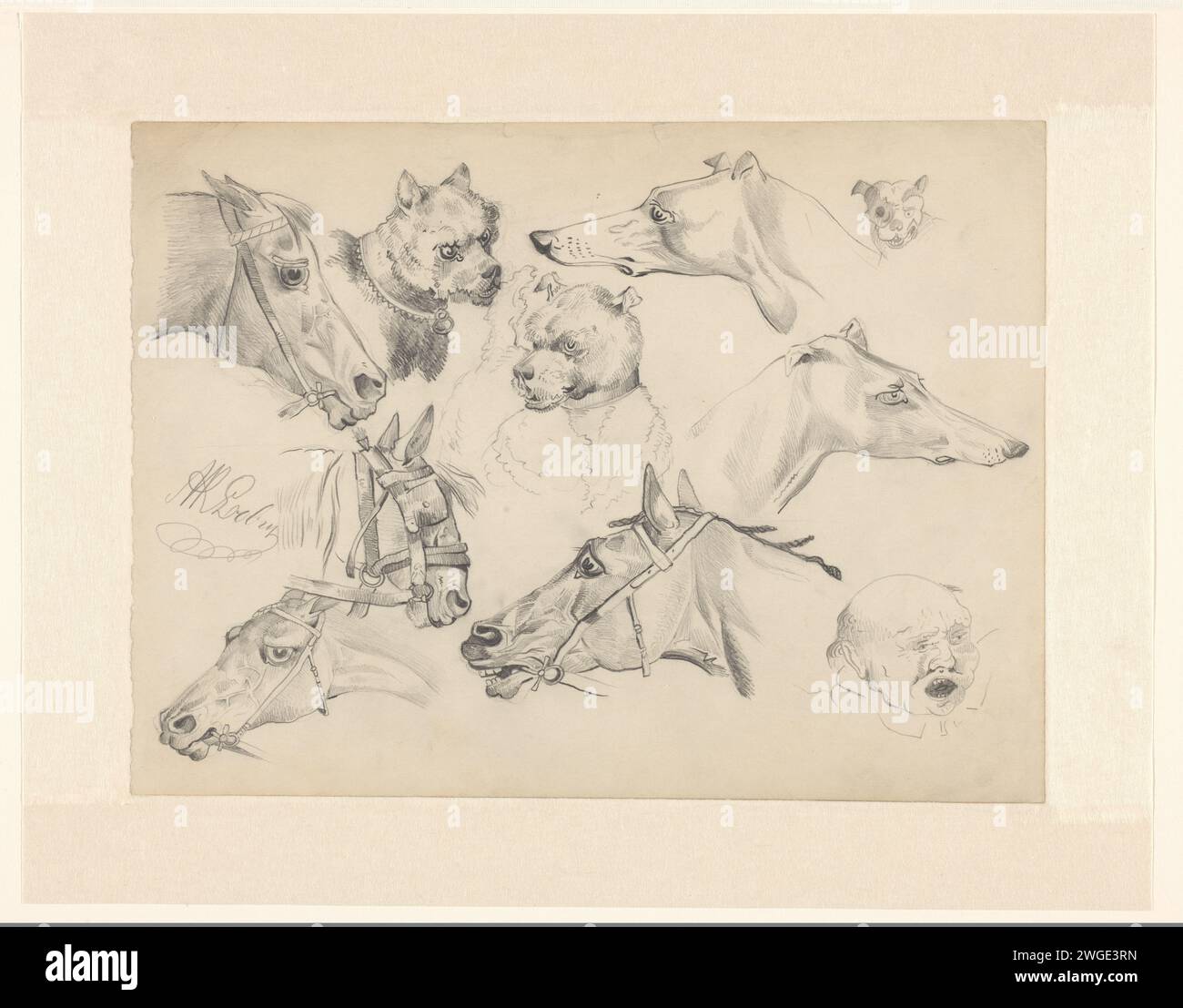 Study sheet with horses, dogs and head of a man, Adrien René Lobry ...