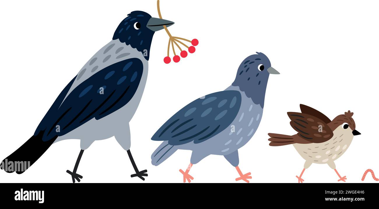 Crow with berries in its beak, pigeon and sparrow run after a worm ...