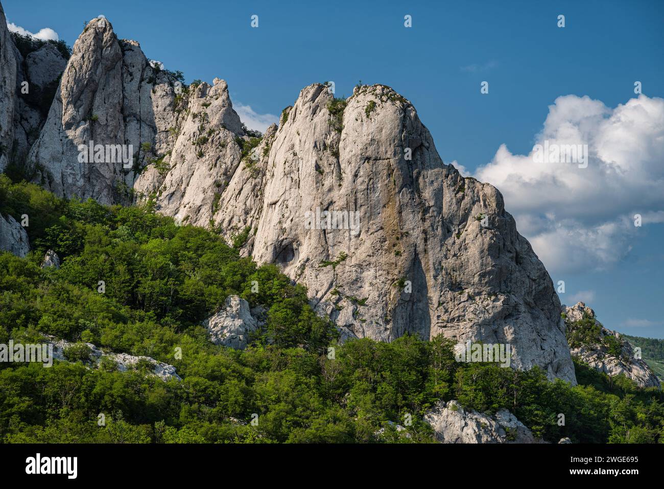 Dabarska kosa hi-res stock photography and images - Alamy