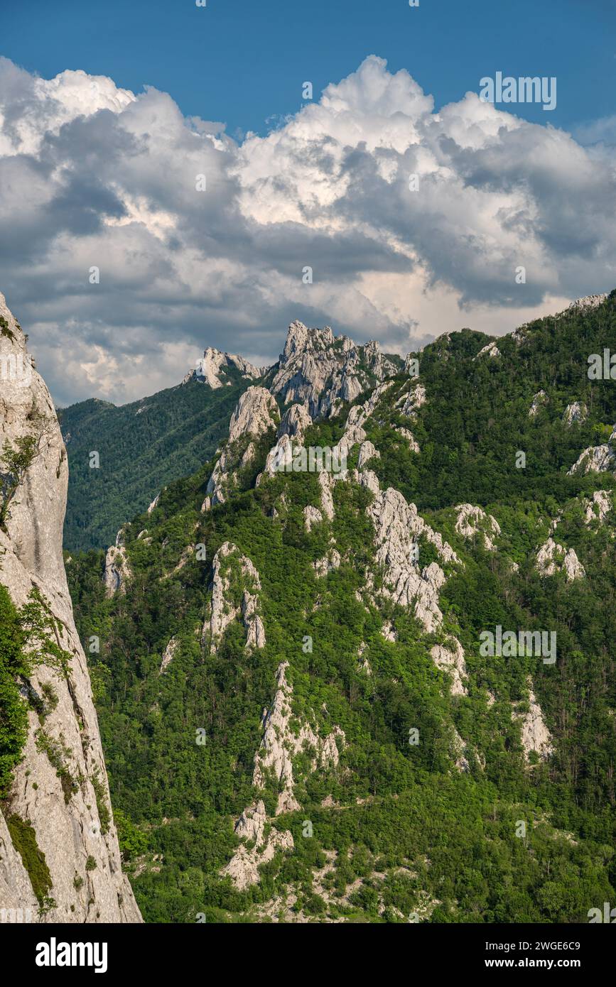 Dabarska kosa hi-res stock photography and images - Alamy