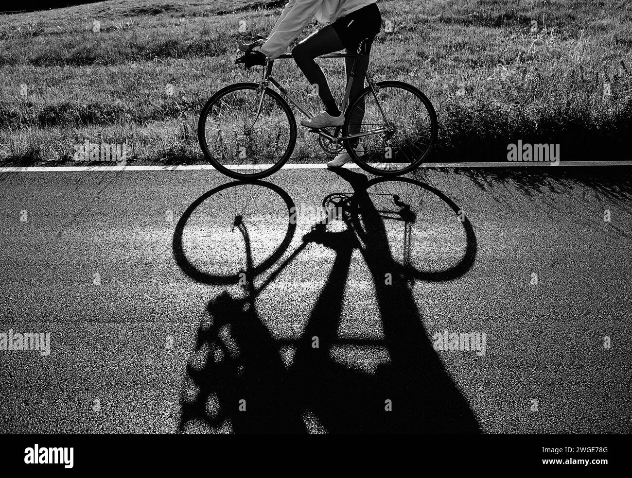 shadow and silhouette of the cyclist with racing bike on the road in ...