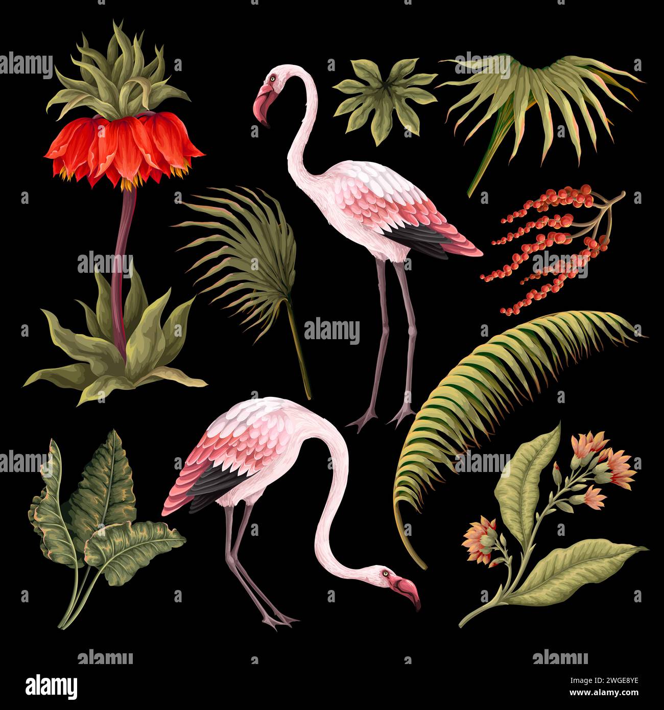 Pink flamingos and exotic flowers flowers. Vector Stock Vector Image ...