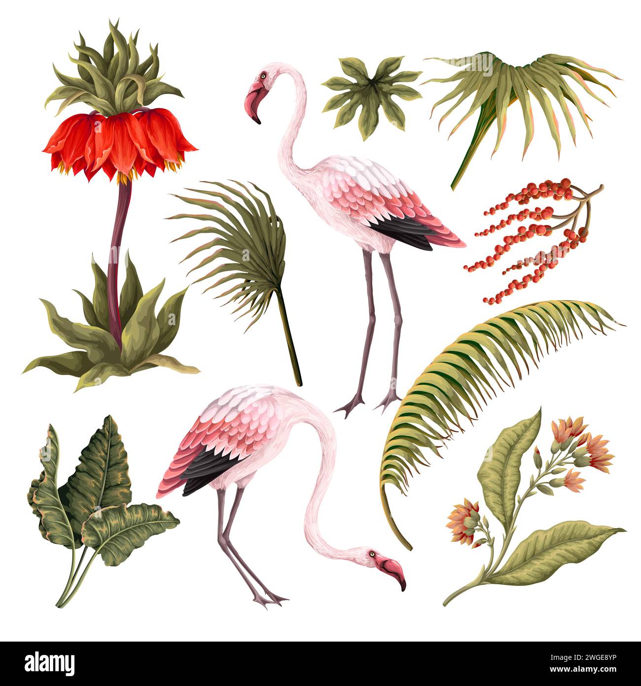 Pink flamingos and exotic flowers flowers. Vector Stock Vector Image ...