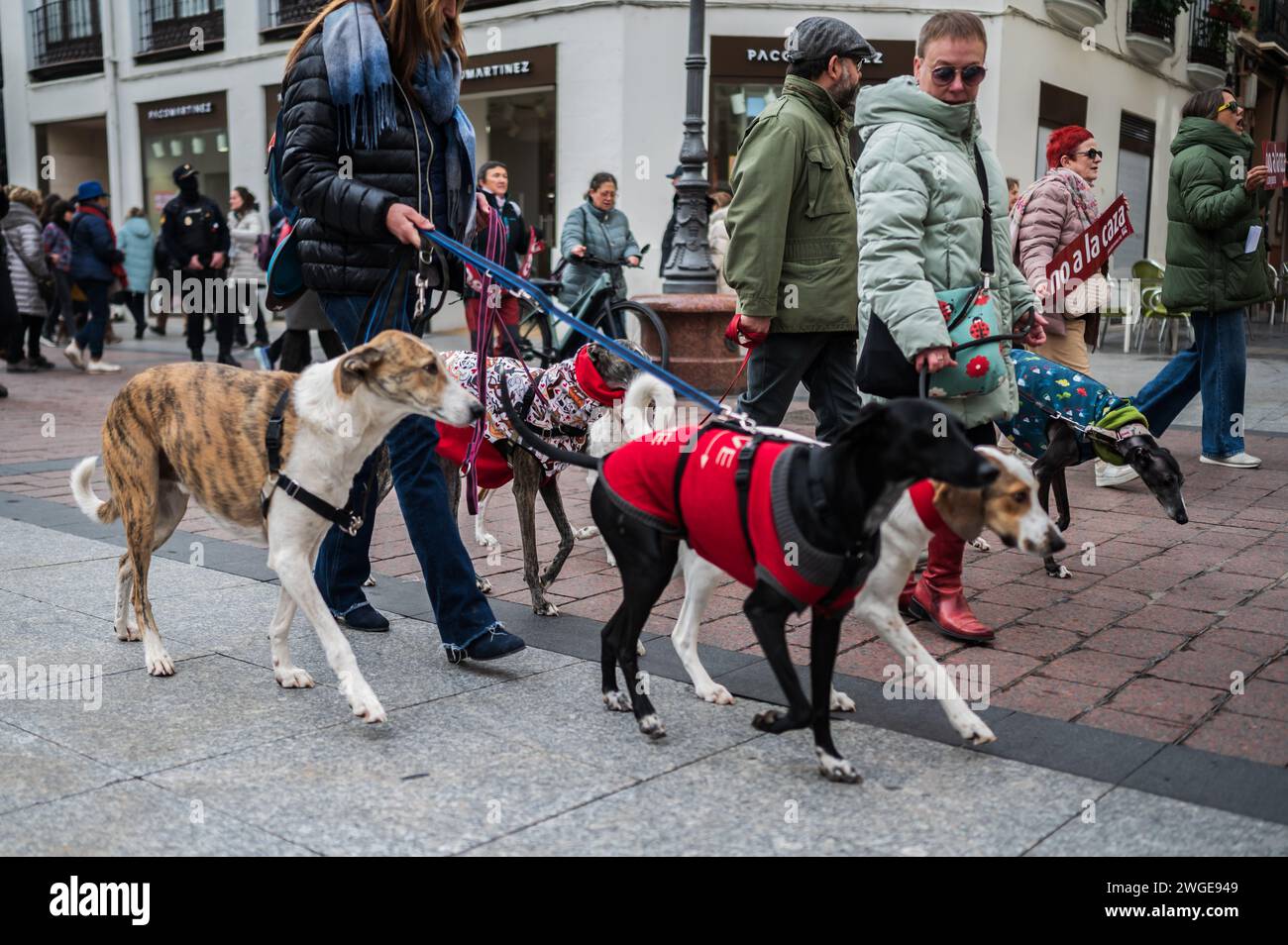 Thousands of people demonstrate in Spain to demand an end to hunting ...