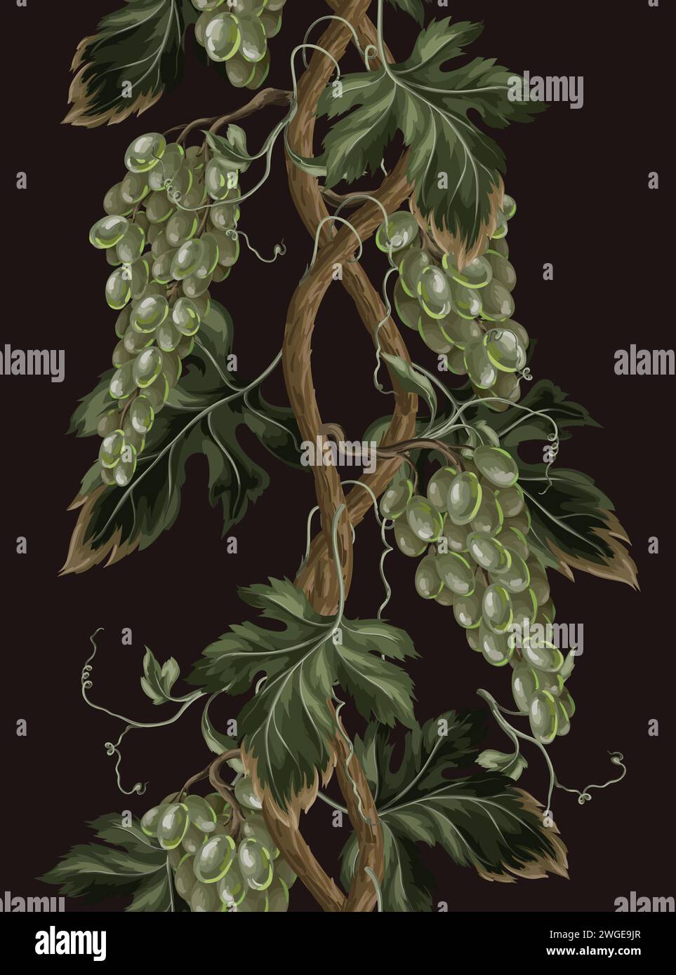 Border with green grapes branches. Vector Stock Vector Image & Art - Alamy