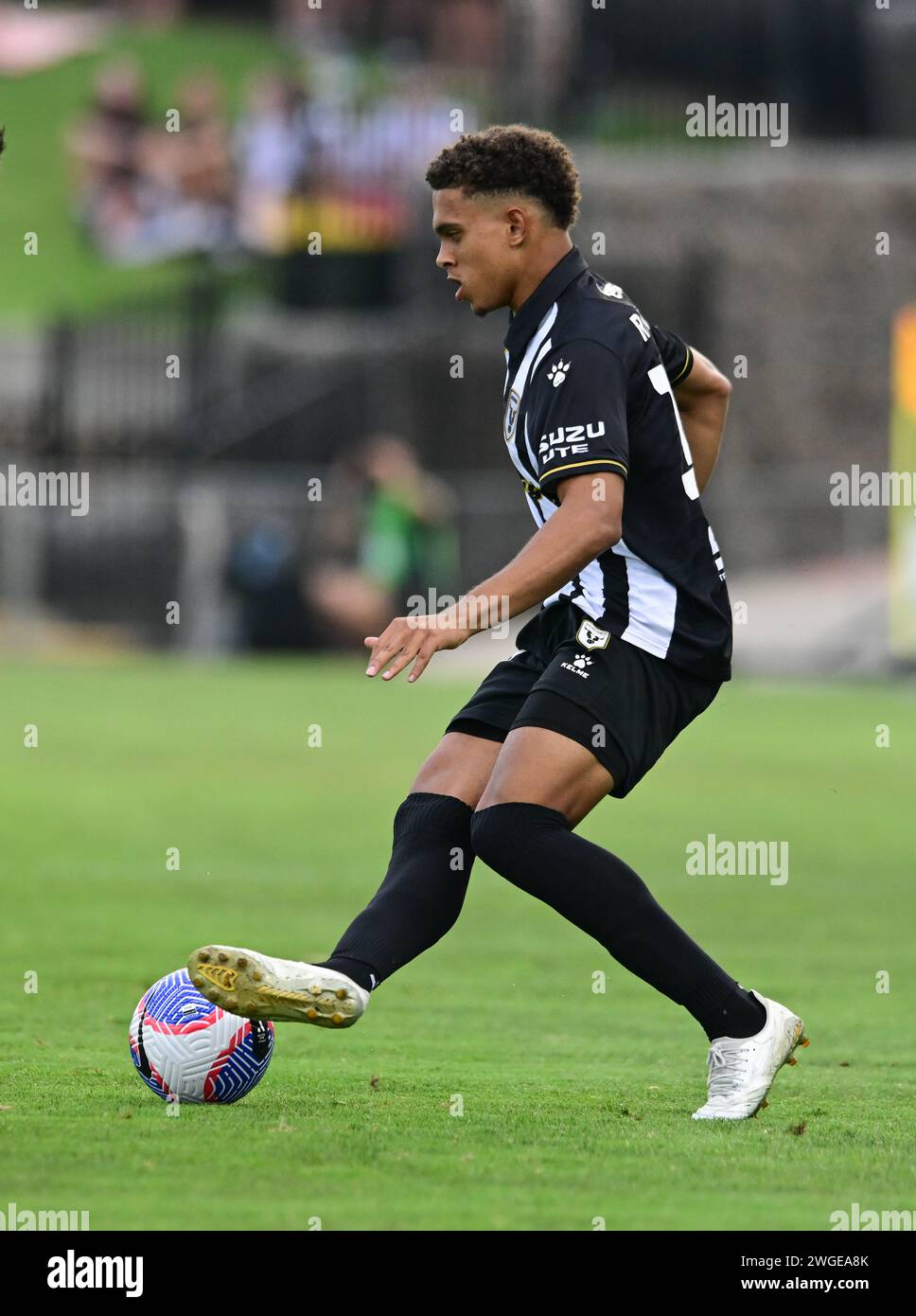 Leumeah, Australia. 04th Feb, 2024. Raphael Borges Rodrigues of ...