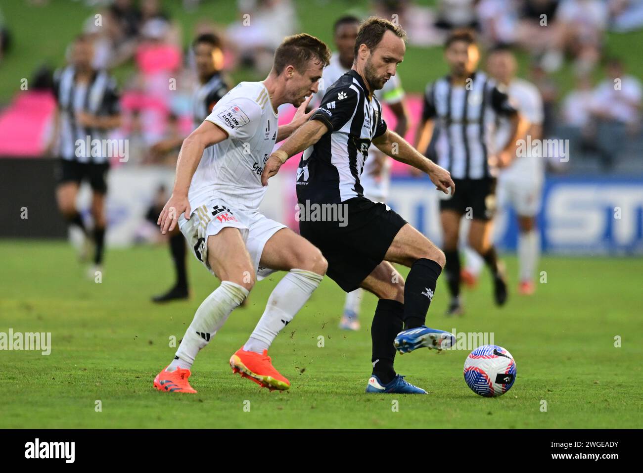 Thomas christopher beadling hi-res stock photography and images - Alamy