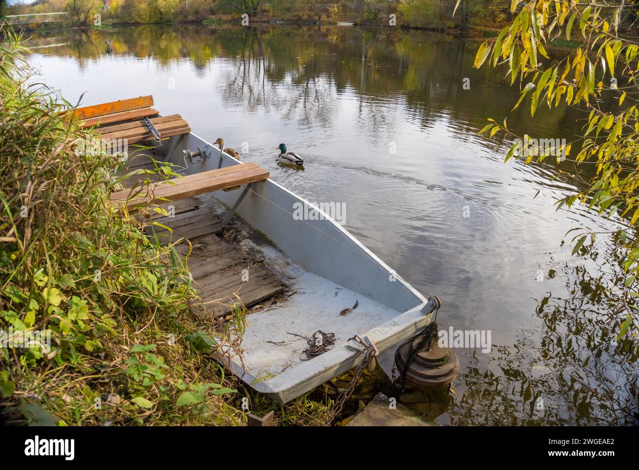 Beautiful views of the river Berounka a Wooden boats in the autumn ...