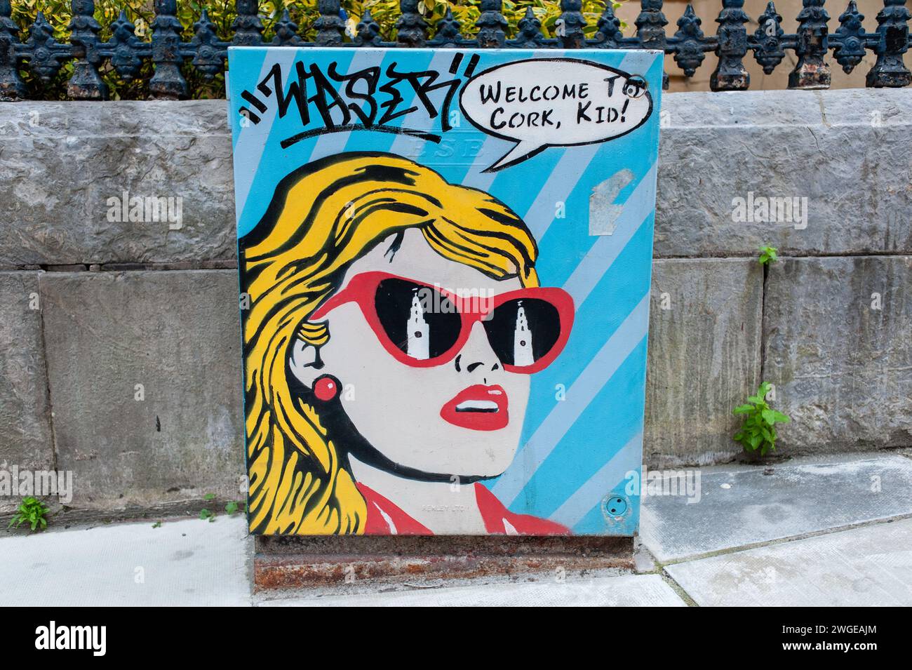 The painted electricity boxes celebrating Cork. Thanks to the ...