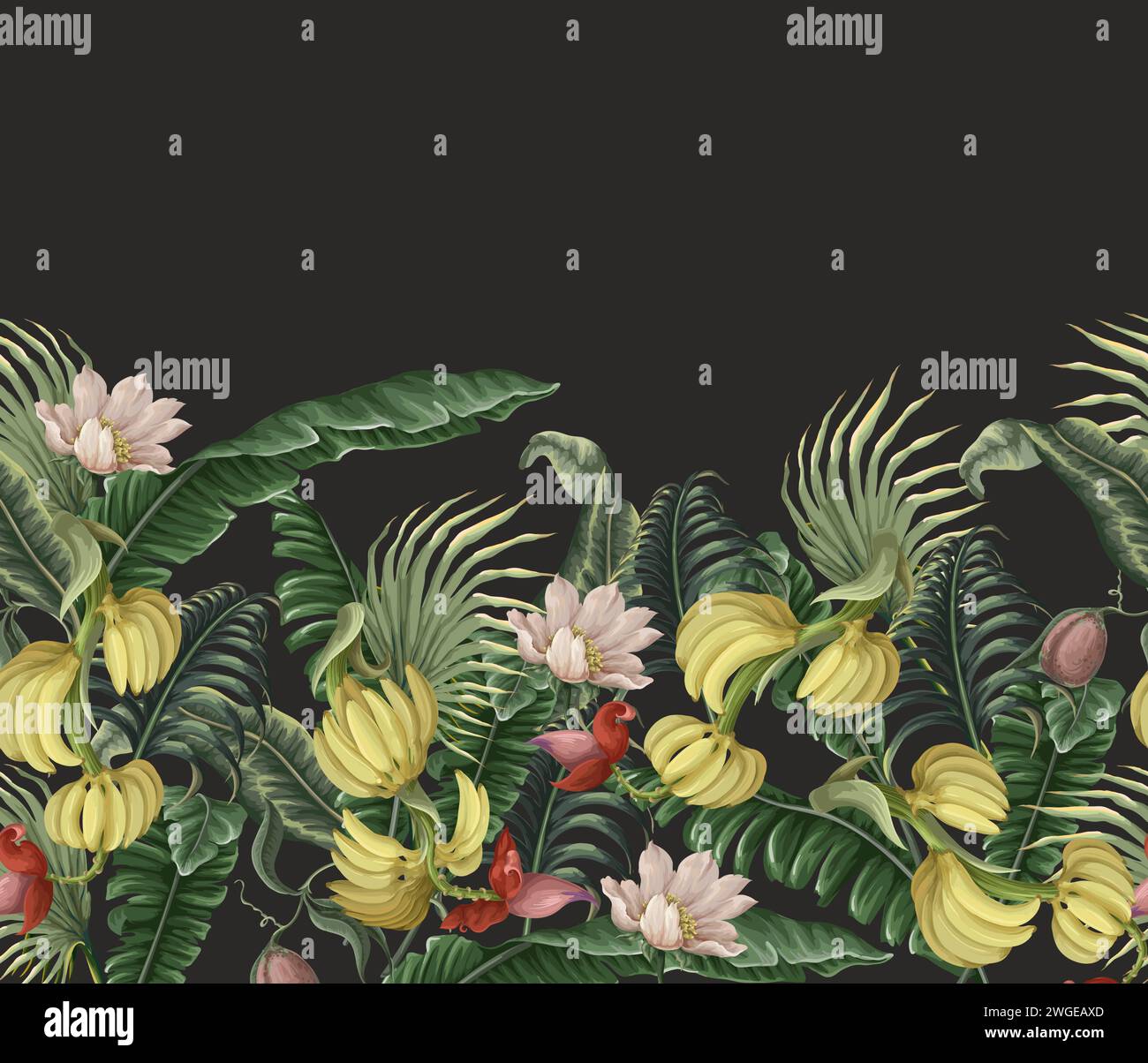 Border with banana fruits and leaves. Vector Stock Vector Image & Art ...