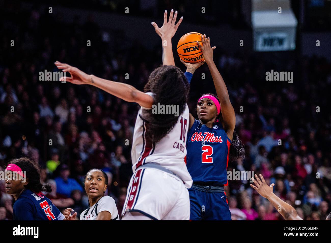 2024 0050 jpg hi-res stock photography and images - Alamy