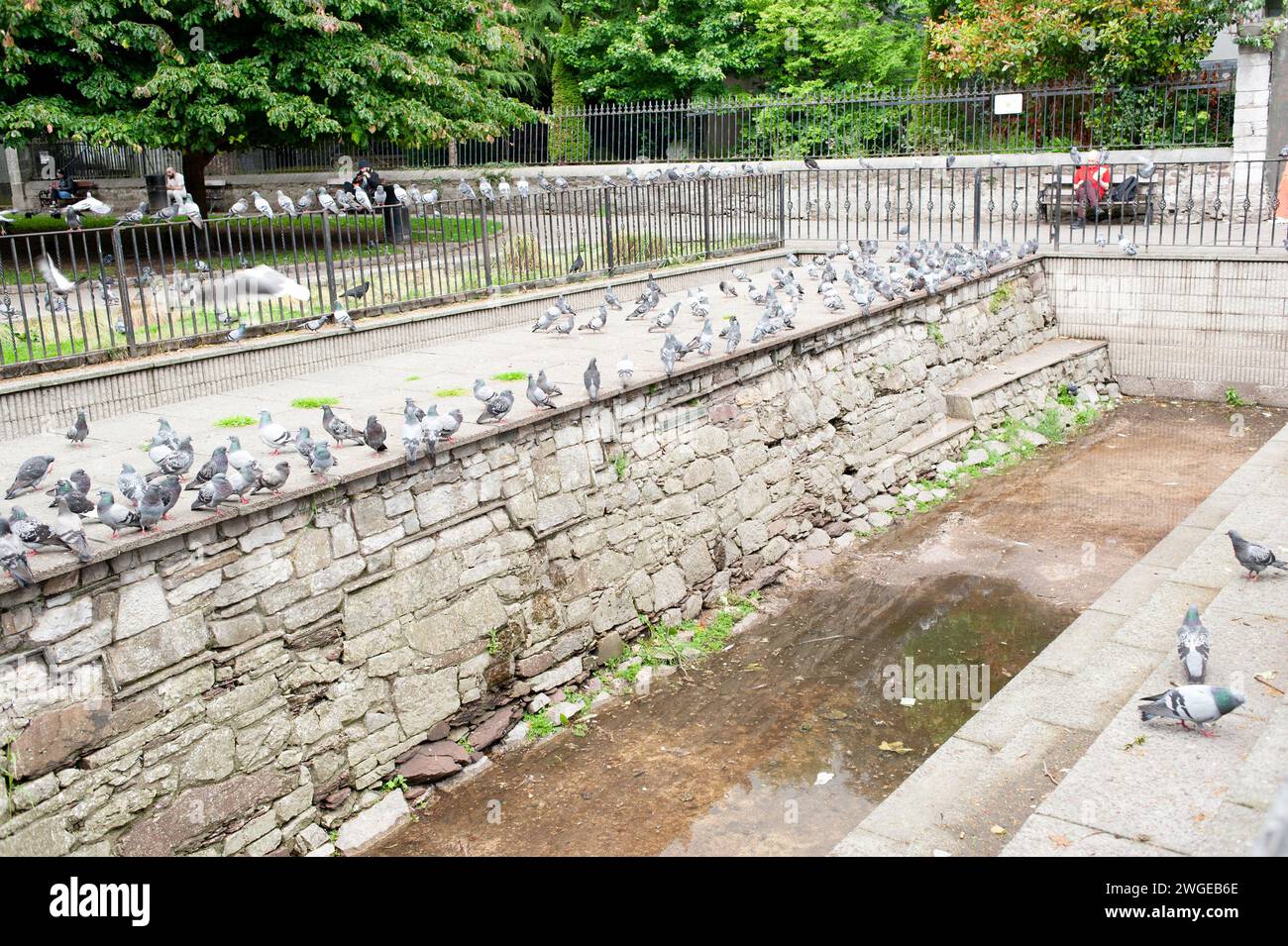 Medieval City Wall in Bishop Lucey Park in Cork city. (Balla Cathrach ...