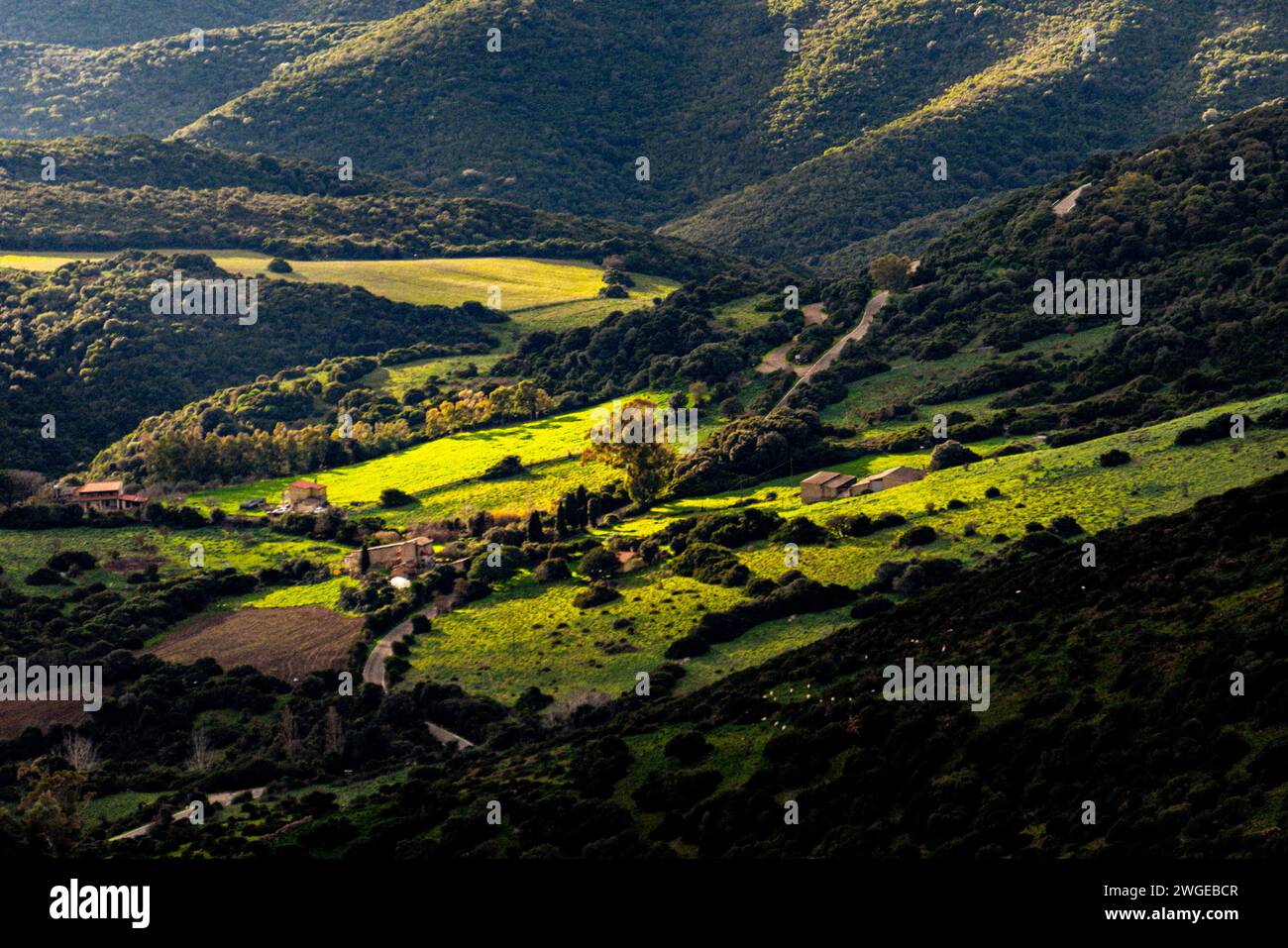 Tree campaigns hi-res stock photography and images - Alamy