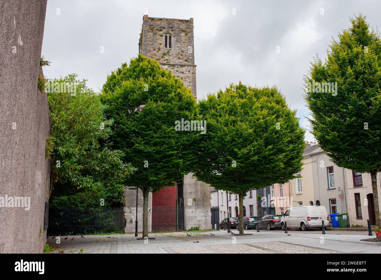 Red abbey cork hi-res stock photography and images - Alamy