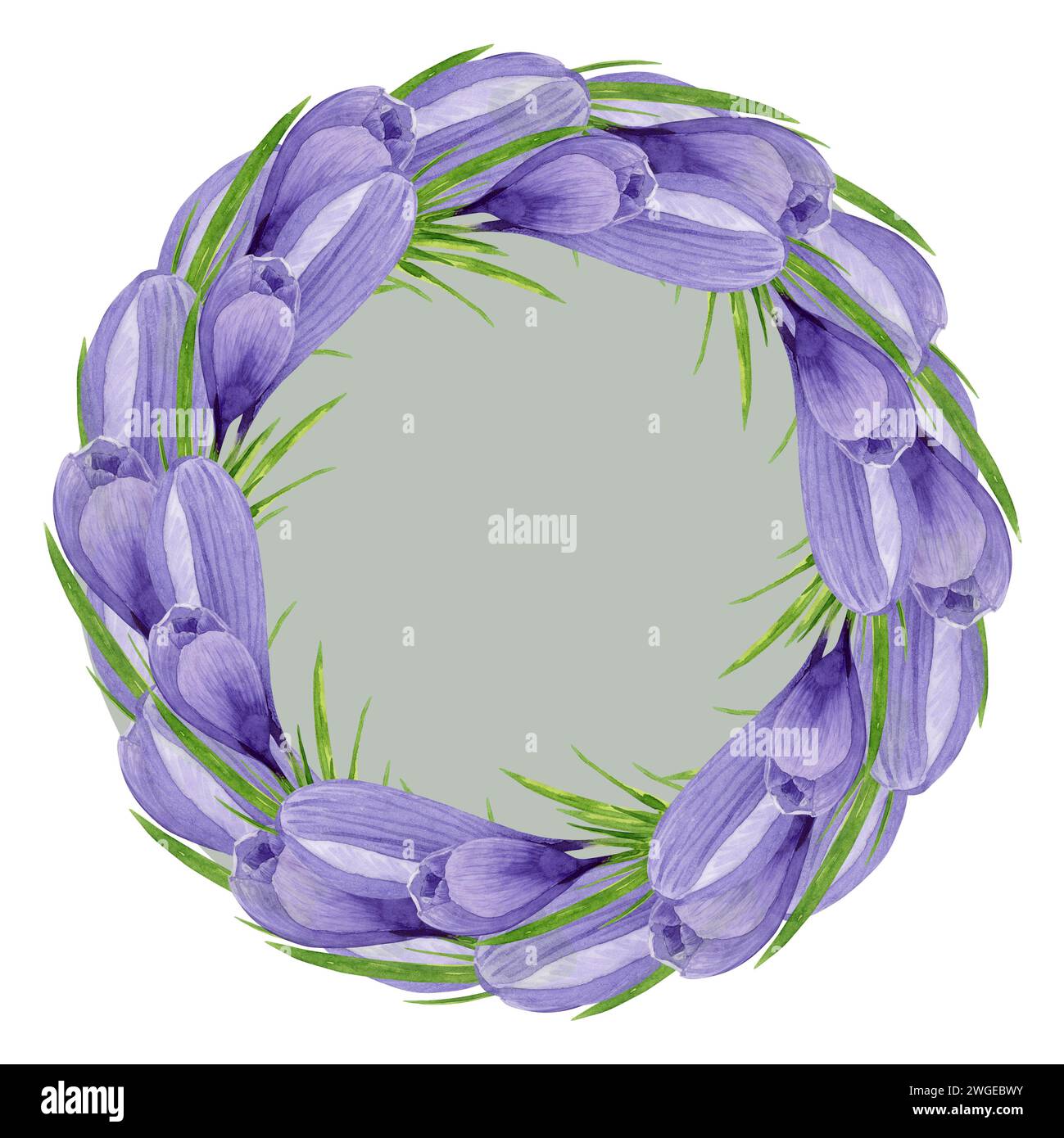 Purple crocuses wreath, spring flowers frame Hand painted watercolor ...