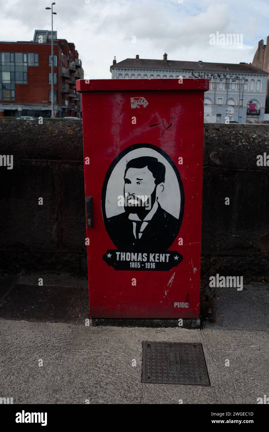 The painted electricity boxes celebrating Cork. Thanks to the ...