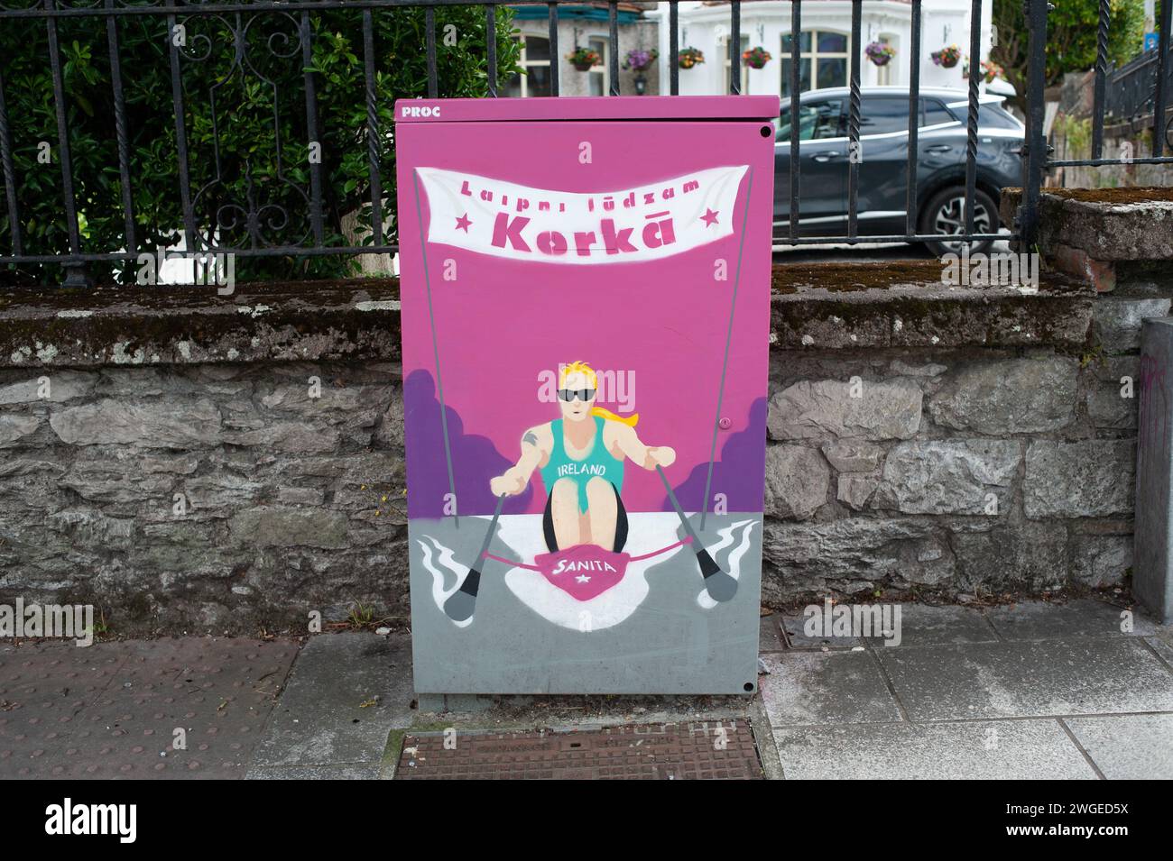 The painted electricity boxes celebrating Cork. Thanks to the ...