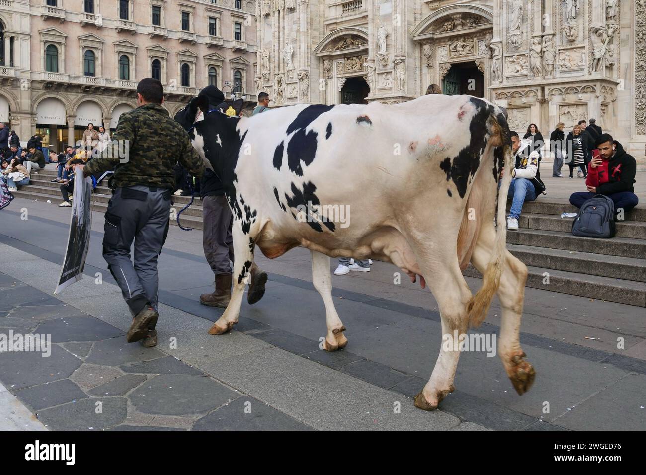 Milan, . 04th Feb, 2024. The picturesque farmers' protest against the ...