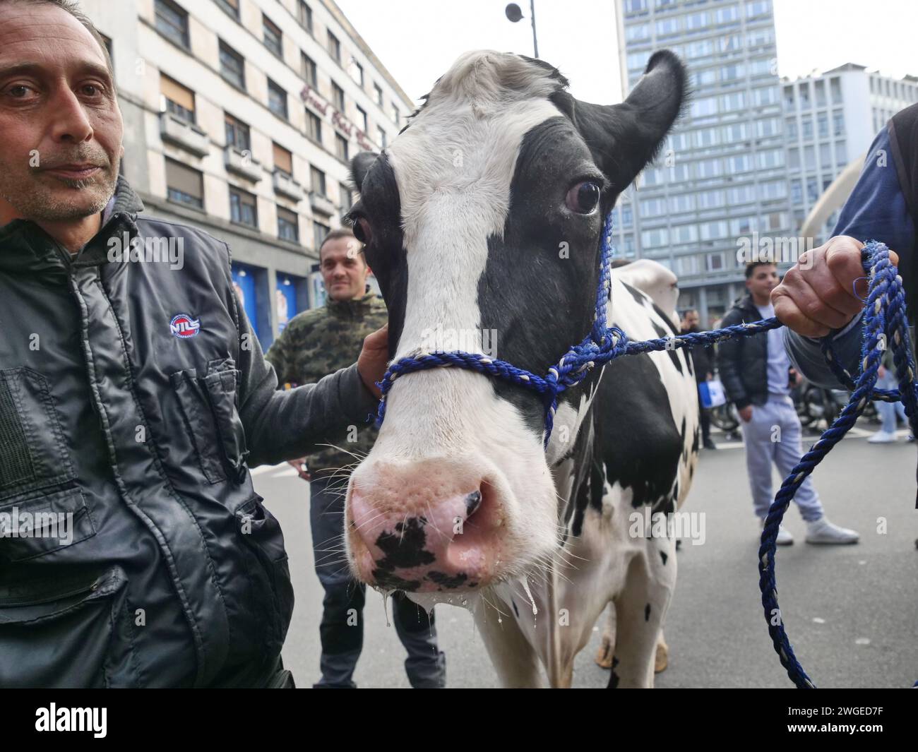 Milan, . 04th Feb, 2024. The picturesque farmers' protest against the ...