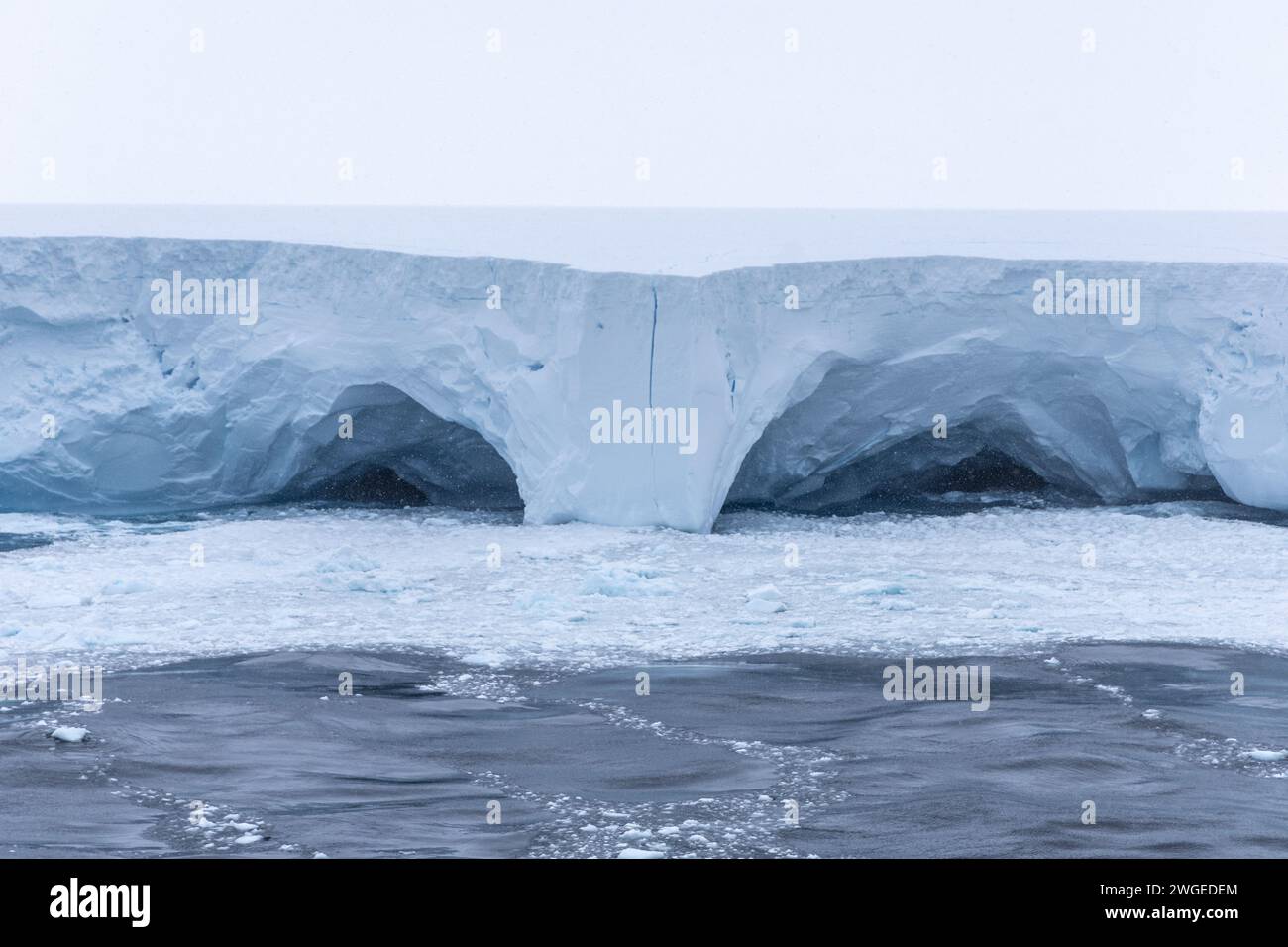 Iceberg A23a, largest iceberg on the planet drifting north in the ...