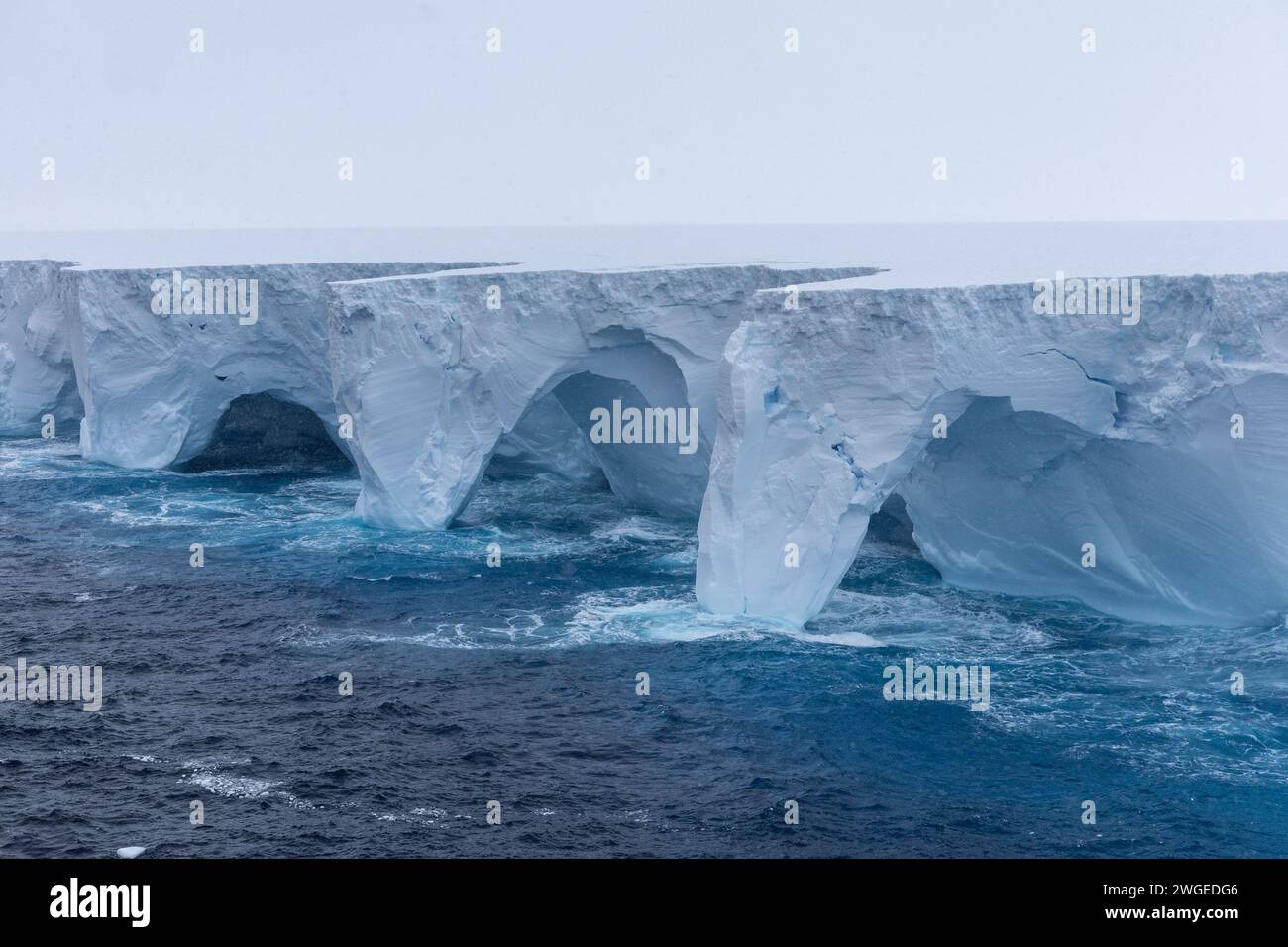 Iceberg A23a, largest iceberg on the planet drifting north in the ...