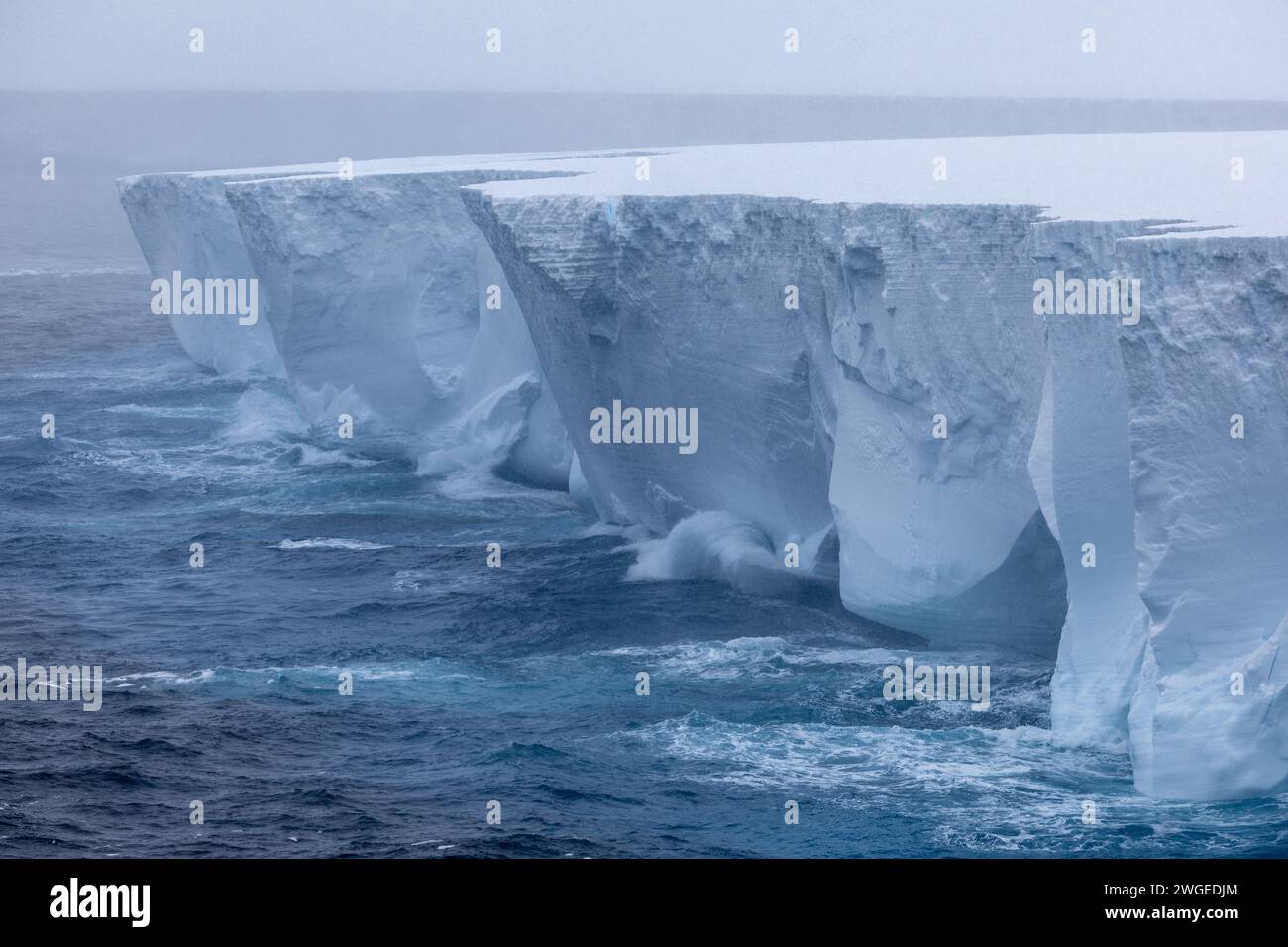 Iceberg A23a, largest iceberg on the planet drifting north in the ...