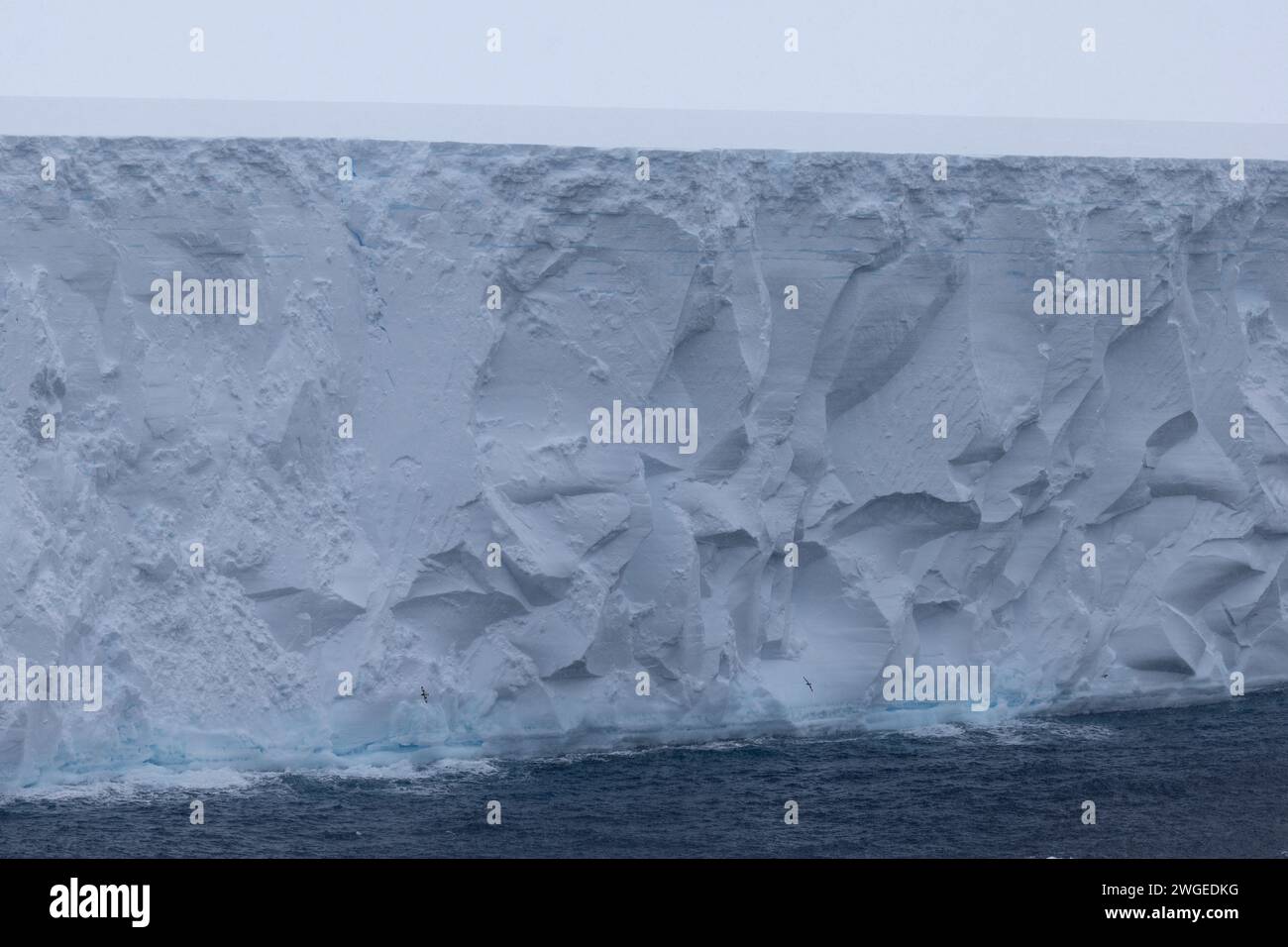 Iceberg A23a, largest iceberg on the planet drifting north in the ...
