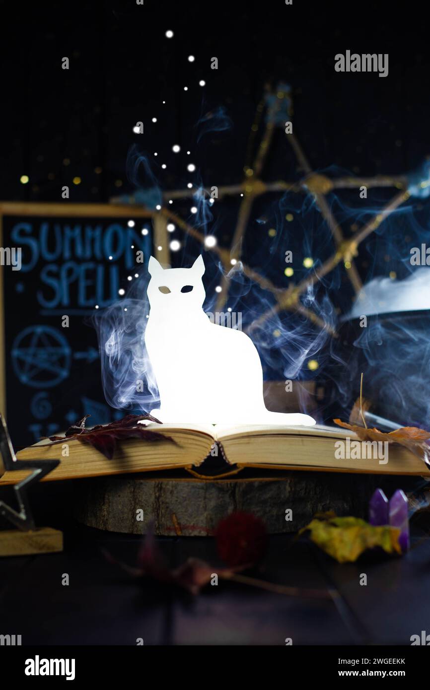 Glowing, shining cat figure, rising from a book in a magical still life ...