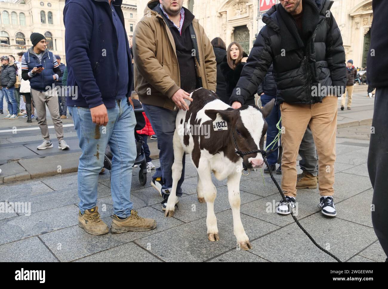 The picturesque farmers' protest against the European green deal ...